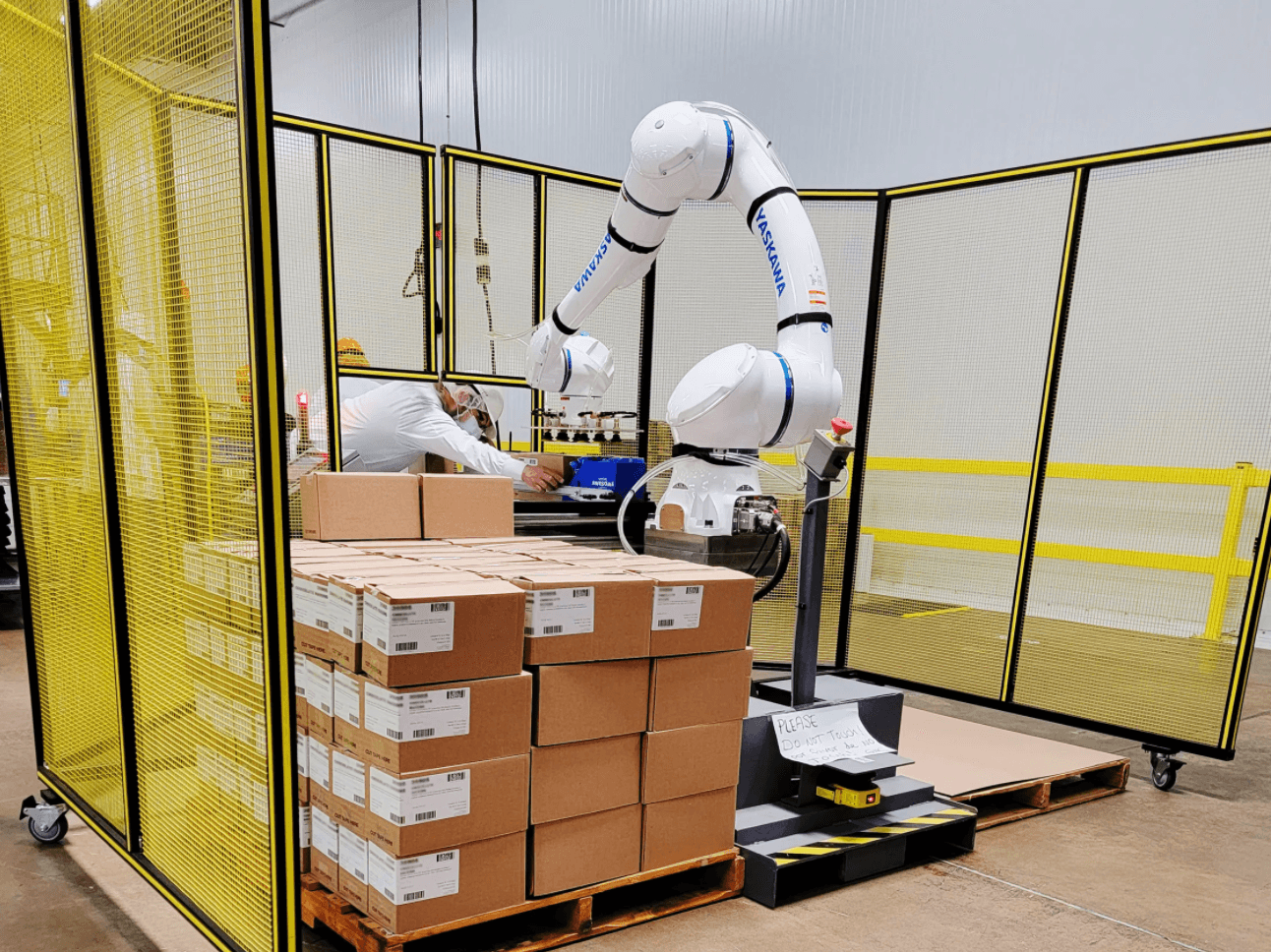Georgia Nut Company Deploys Their First Robotic Automation System